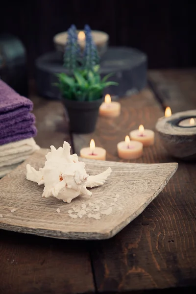 Natural spa setting Stock Photo by ©mythja 9813912