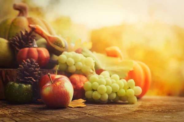 Autumn fruit - Stock Image - Everypixel