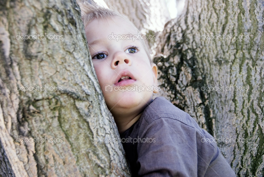 Little boy on tree Stock Photo by ©gabczi 24683221