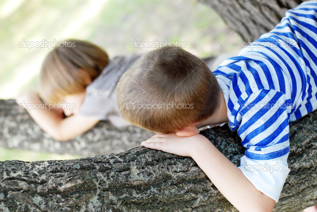 Boys sitting on the tree Stock Photo by ©gabczi 28517435