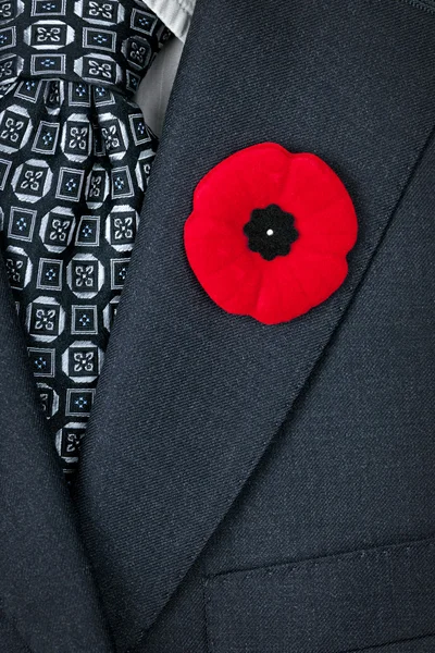 Remembrance Day poppy on suit — Stock Photo © elenathewise #16852869
