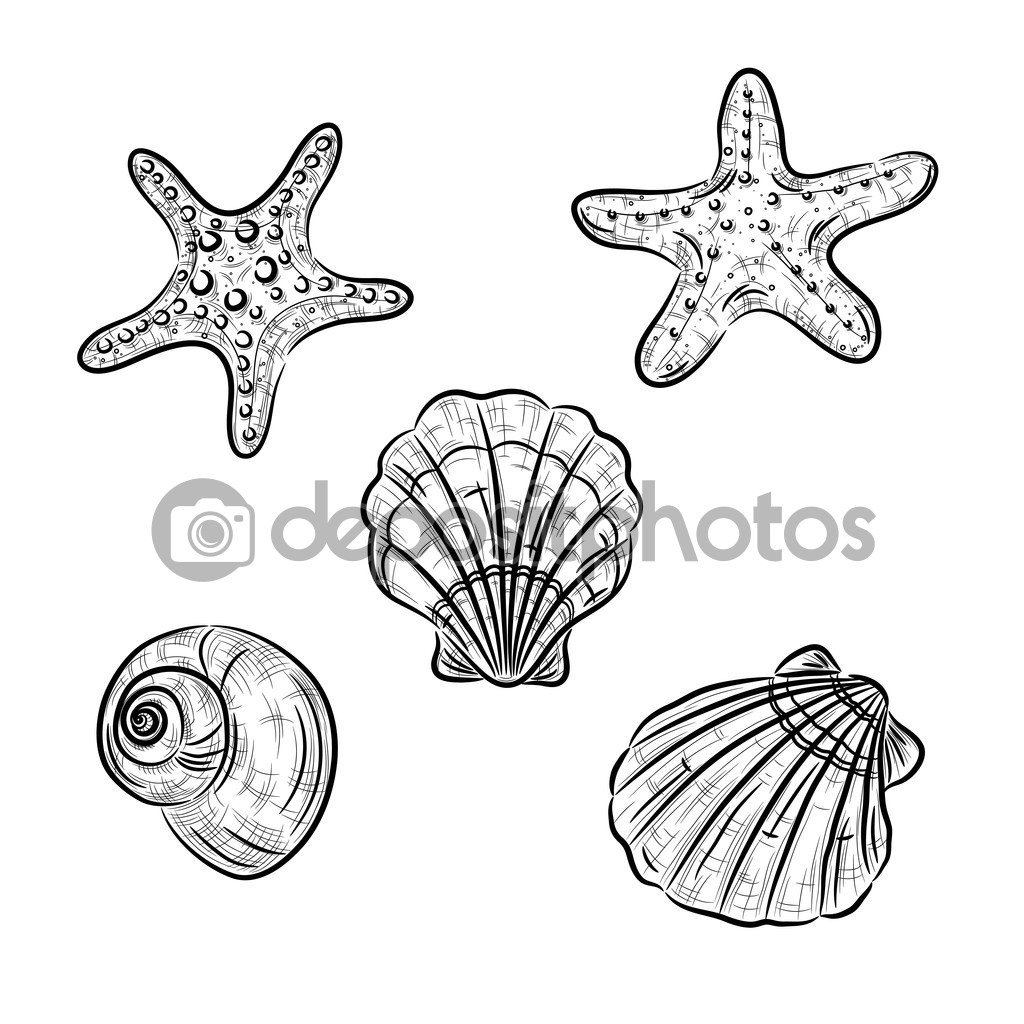 Vízi állat, rajz — Stock Vector #48059521