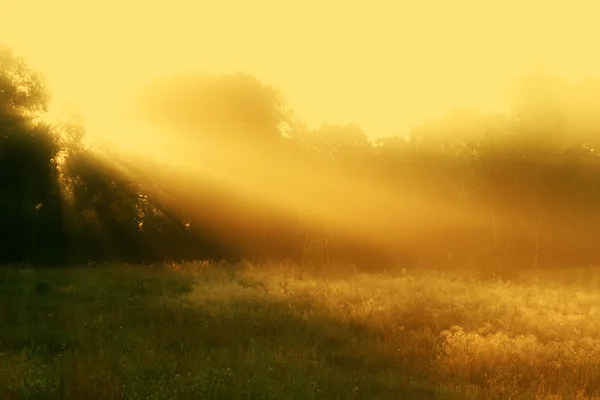 Sol rayo de oro idilio Stock Photos, Royalty Free Sol rayo de oro ...