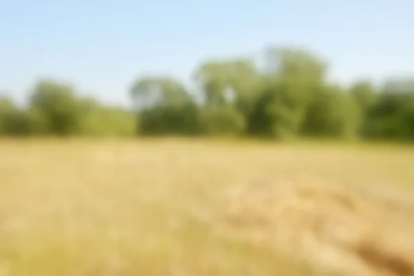 Blurry farm background Stock Photos, Royalty Free Blurry farm ...