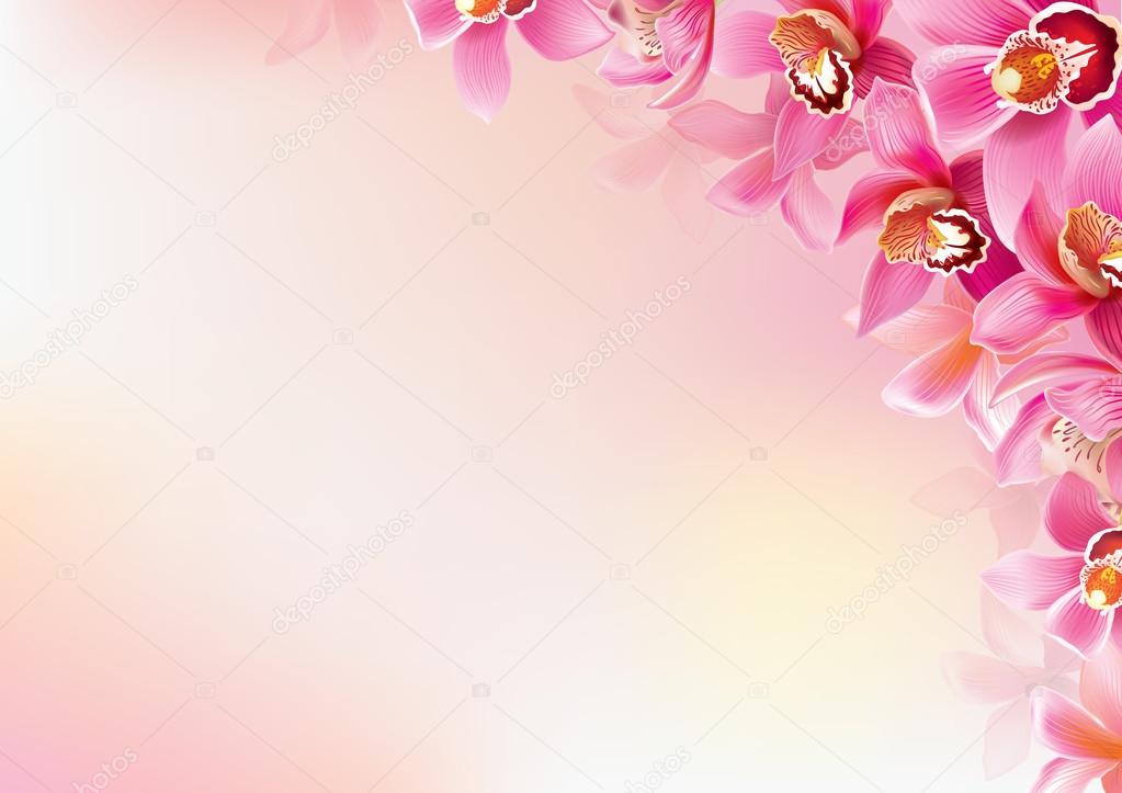 Background of orchids — Stock Vector © pinkkoala #48280651
