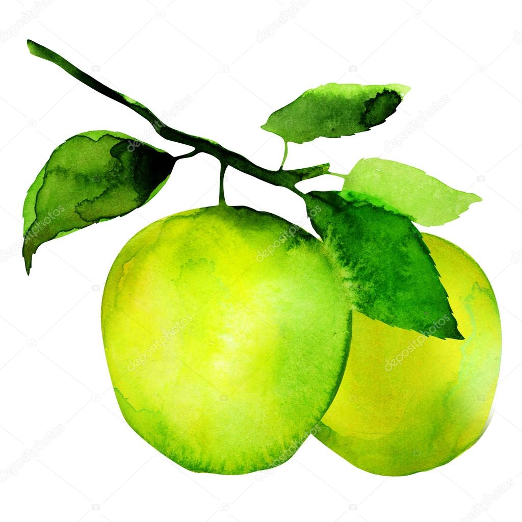 Group of apples Stock Photo by ©deslns 23144838