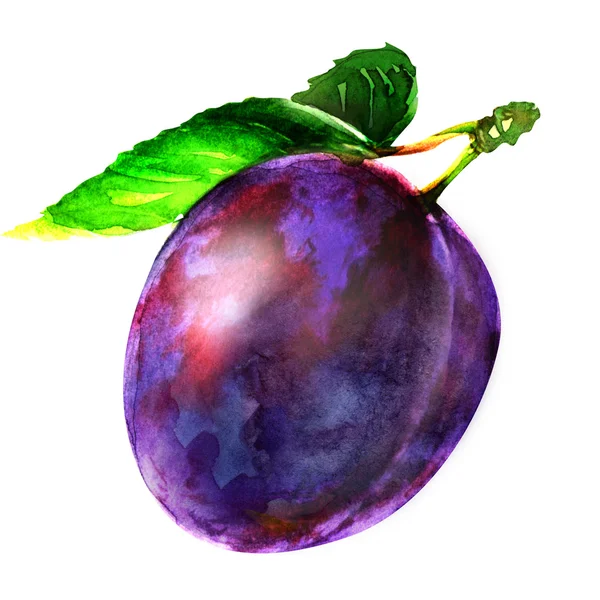 Watercolor painting on white background Stock Photo by ©deslns 12047958