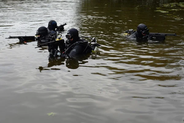 Mergulho militar Fotos de Stock, Mergulho militar Imagens sem royalties ...