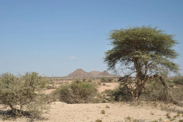Somali ladscape Stock Photo by ©Free2014 40022005