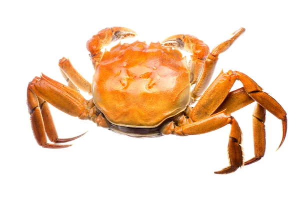 Crab top view Stock Photos, Royalty Free Crab top view Images ...