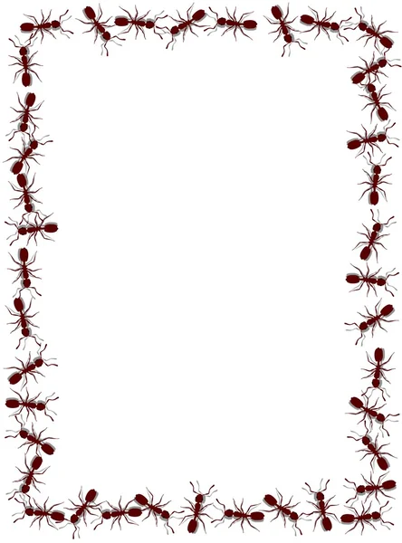 Pests ants Stock Photos, Royalty Free Pests ants Images | Depositphotos