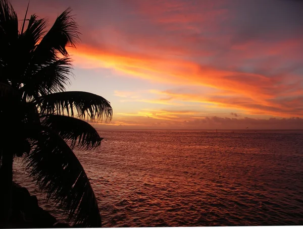 Tahiti sunset Stock Photos, Royalty Free Tahiti sunset Images ...