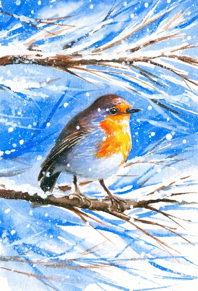 Robin winter Pictures, Robin winter Stock Photos & Images | Depositphotos®