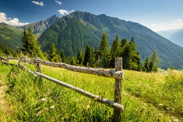 Beautiful ranch Stock Photos, Royalty Free Beautiful ranch Images ...