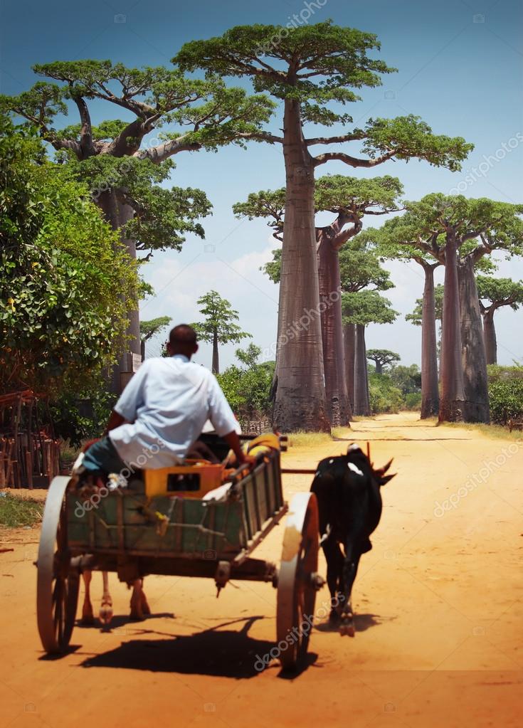 Cart — Stock Photo © mihtiander #40187489