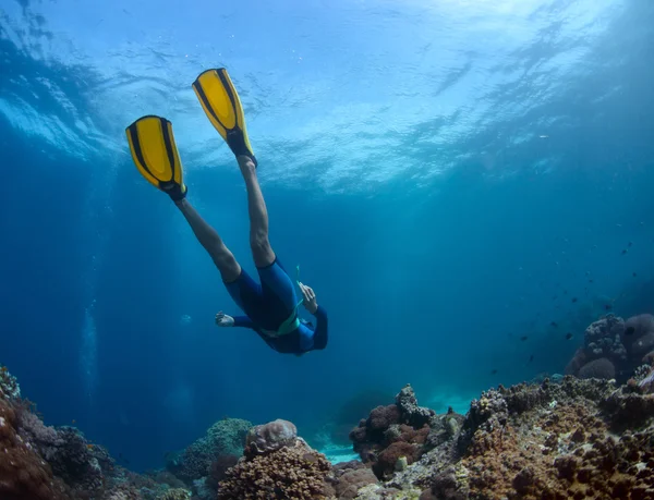 Freediving — Stock Photo © mihtiander #21094815