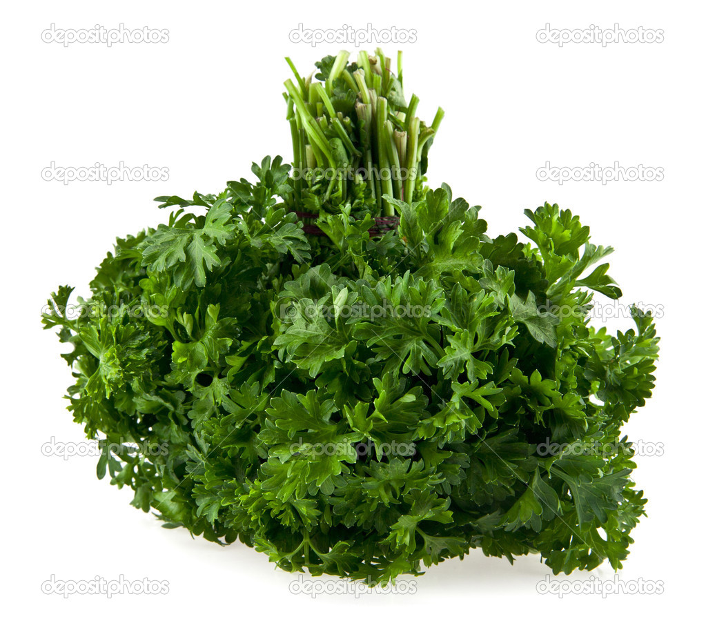 Parsley Stock Photo by ©valzan 35806035
