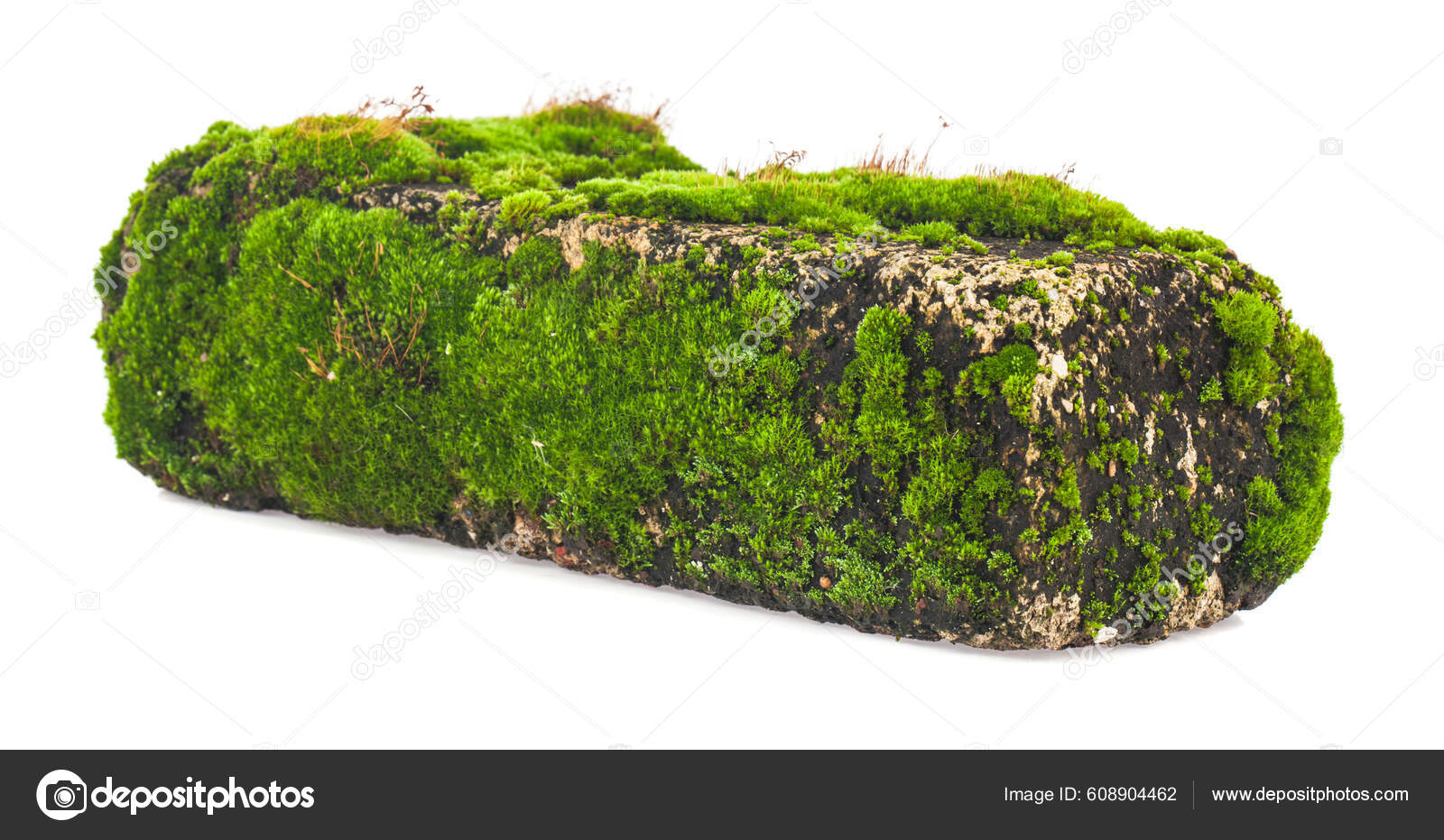 Old Brick Moss Isolated White Background Detail Design Design Elements ...