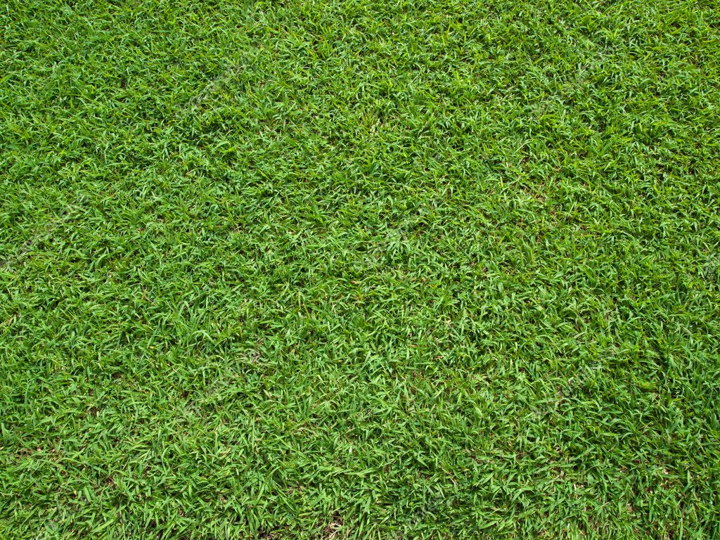 Top View of Green Grass — Stock Photo © nuttakit #4070291