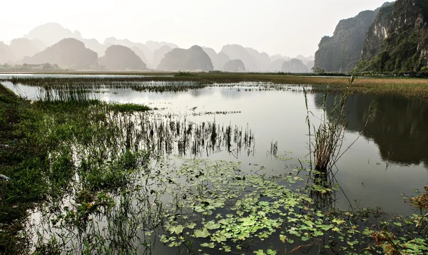 Vietnam ecology Stock Photos, Royalty Free Vietnam ecology Images ...