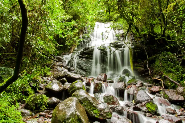 Tropical rainforest waterfall Stock Photos, Royalty Free Tropical ...