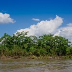 Tropical Rainforest Landscape, Amazon — Stock Photo © pxhidalgo #42469131