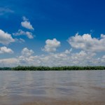 Tropical Rainforest Landscape, Amazon — Stock Photo © pxhidalgo #42469131