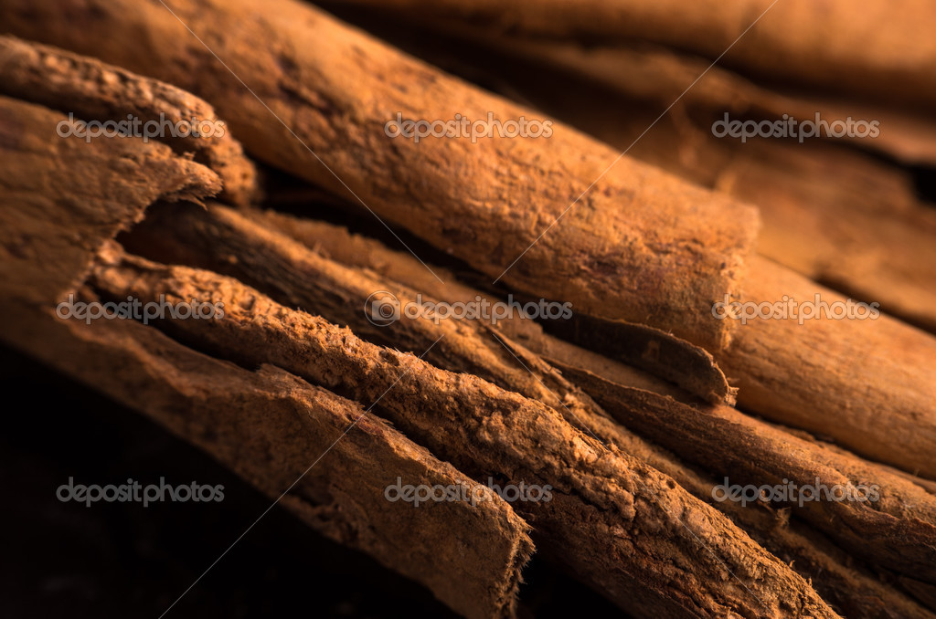 Cinnamon Stock Photo by ©pxhidalgo 43638459