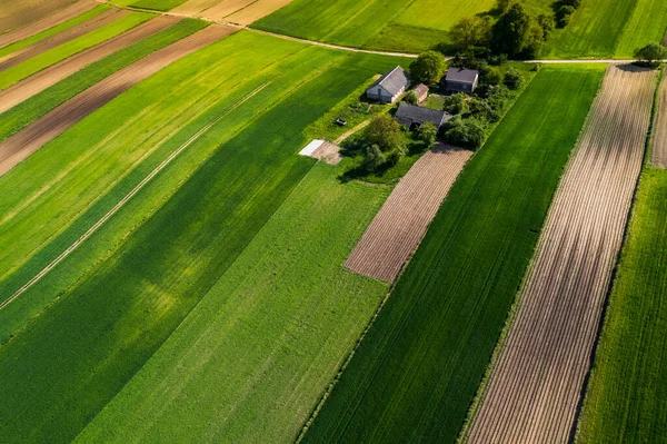 Farm Field Aerial