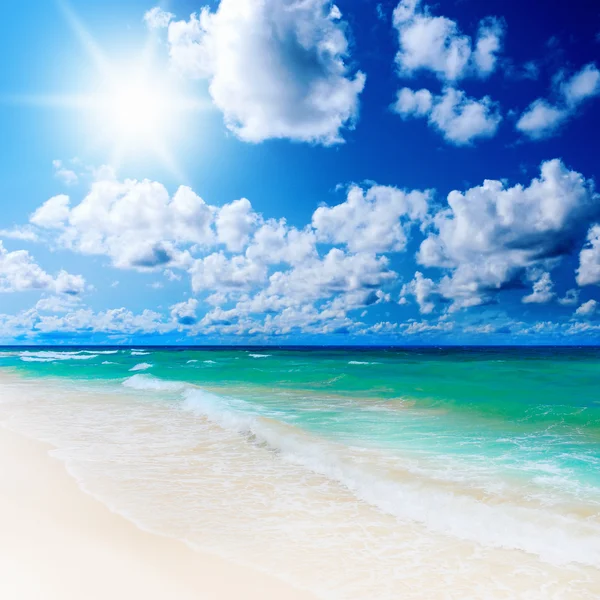 Sunny tropical beach on the island — Stock Photo © Lebval #22822688