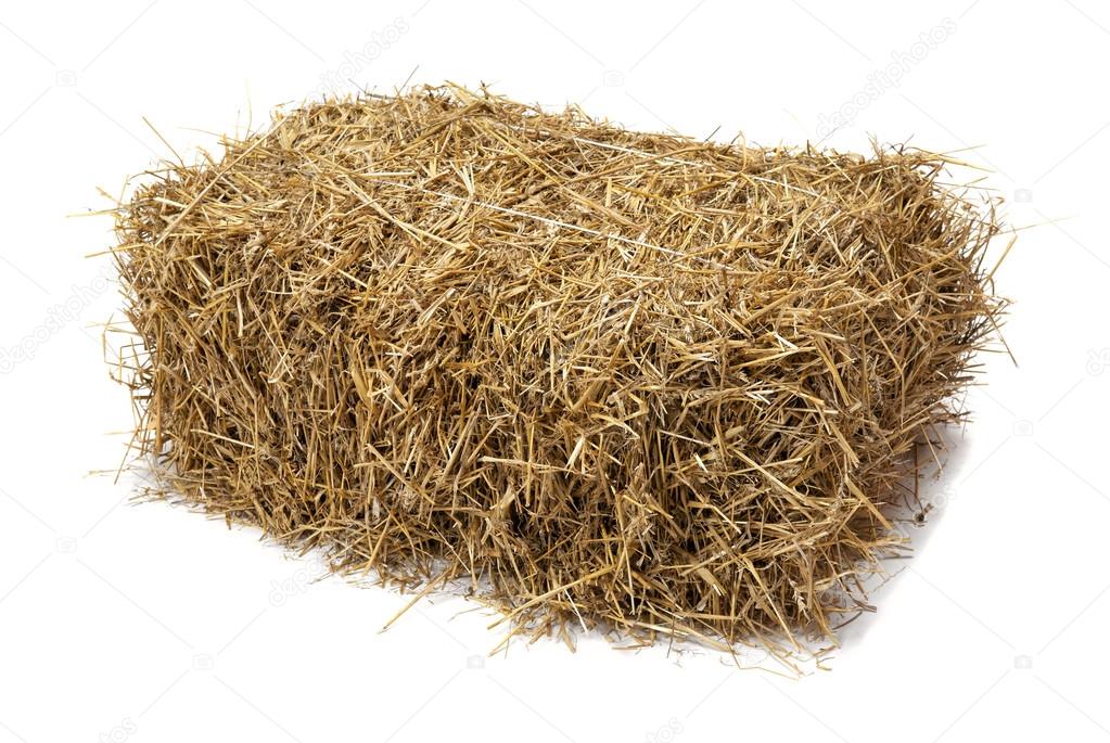 Hay on white background Stock Photo by ©filipw 13735331