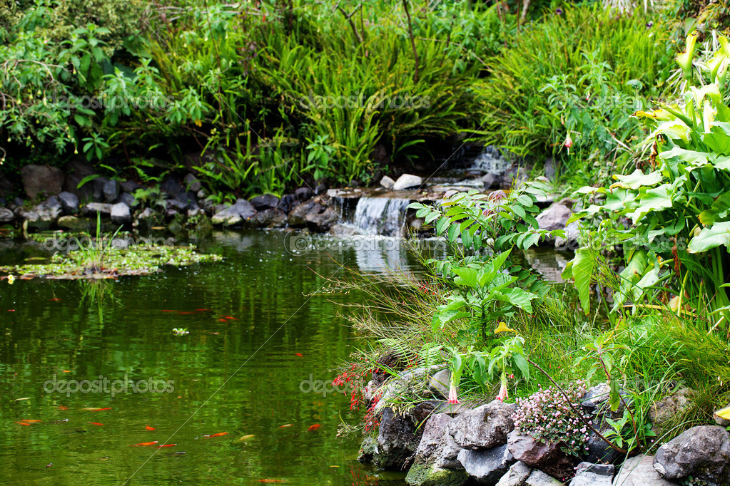 Fish pond and green trees around Stock Photo by ©evgeniyauvarova 23010278