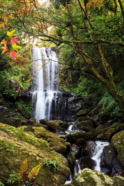 Waterfall at fall, Taiwan — Stock Photo © nicholashan #47814595