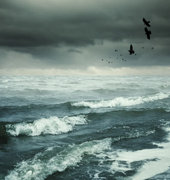 Wind storm Stock Photos, Royalty Free Wind storm Images | Depositphotos®