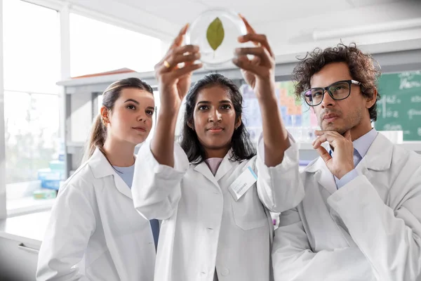 science research, gene technology and people concept - international ...