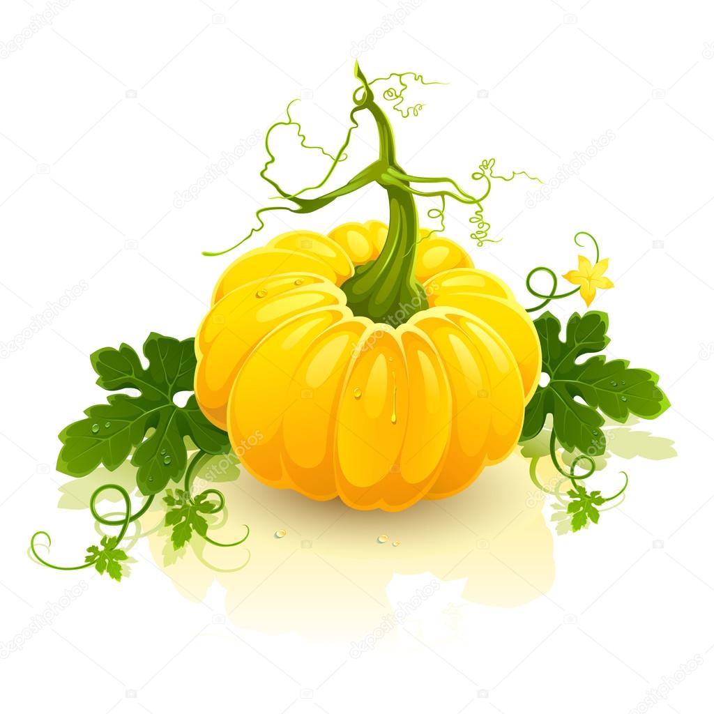 Calabaza Vector de stock por ©deisey 13469964