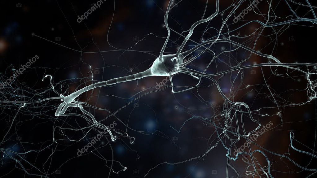 Neuron cell Stock Photo by ©whitehoune 23297620
