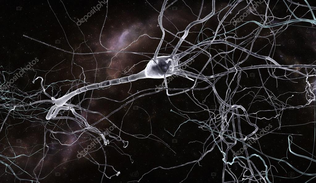 Neuron cell Stock Photo by ©whitehoune 23298968