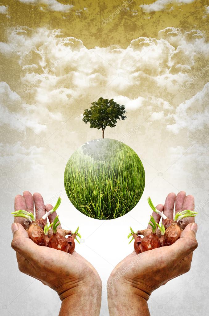 Help the earth by planting tree concept Stock Photo by ©pixbox77 39794989