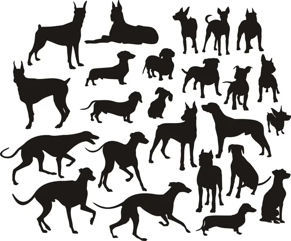 Dogs silhouettes Stock Vector Image by ©nebojsa78 #1982225