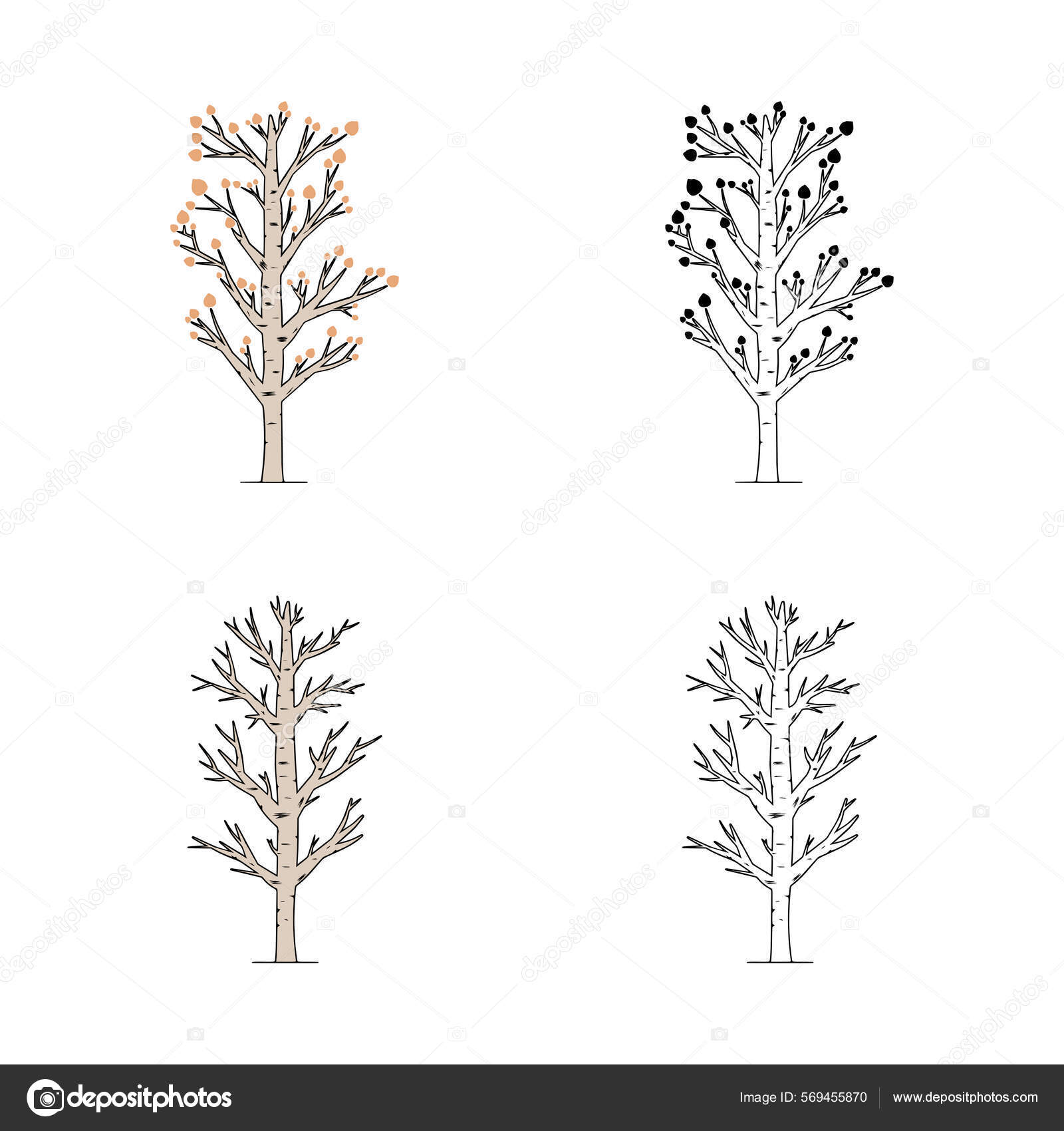 Vector Set Aspen Tree Isolated White Background Poplar Tree Doodle Stock Vector Image by ...