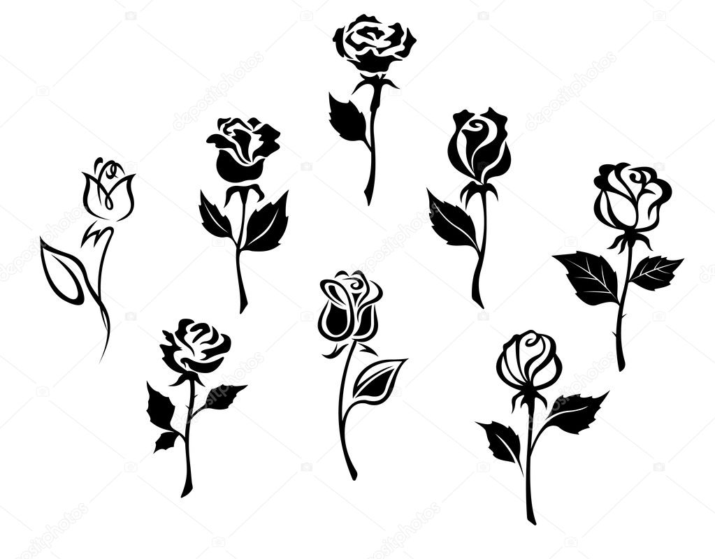 Hermosas rosas conjunto vector, gráfico vectorial © Seamartini imagen ...