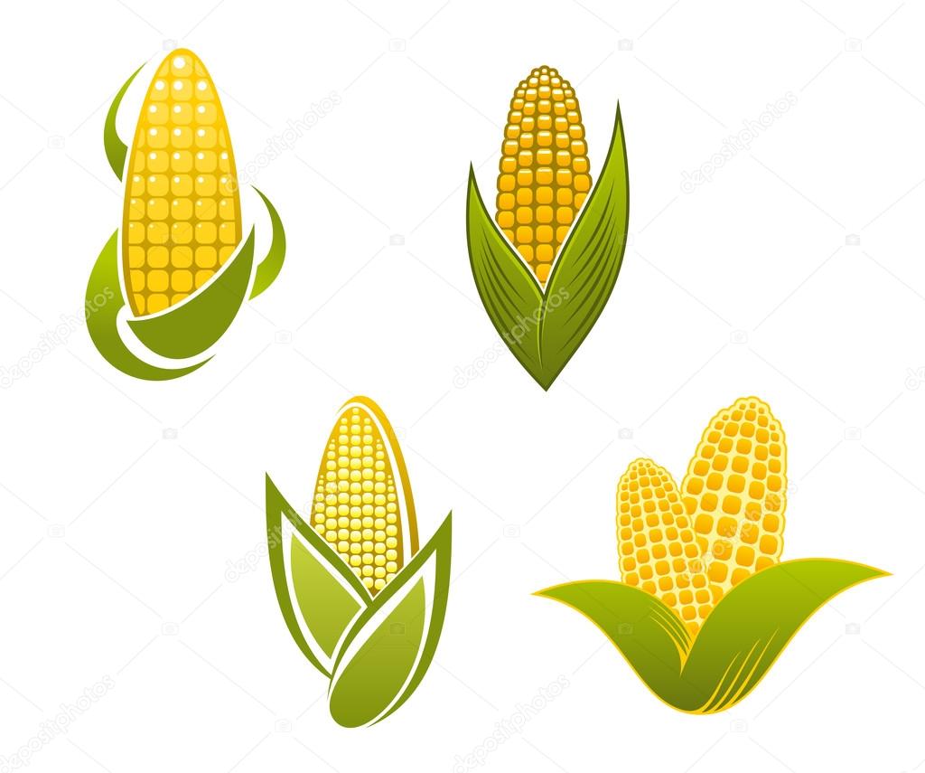 Iconos y símbolos de maíz amarillo 2023