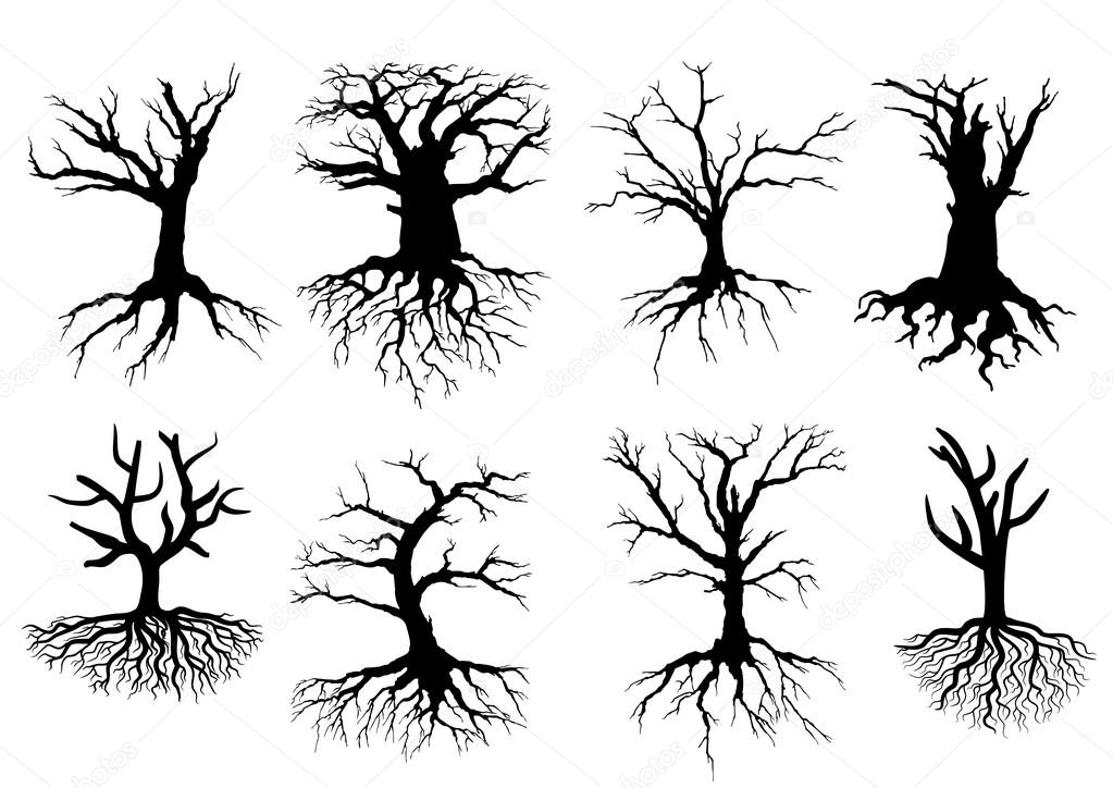 Tree Silhouette Roots Vector