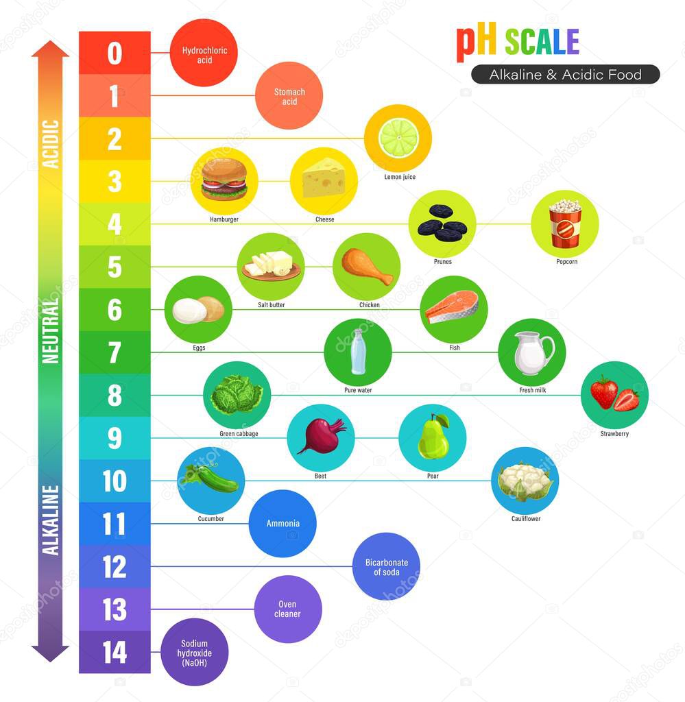 Gráfico de escala PH, medidor de nutrición alcalina y ácida, ciencia química vectorial ...