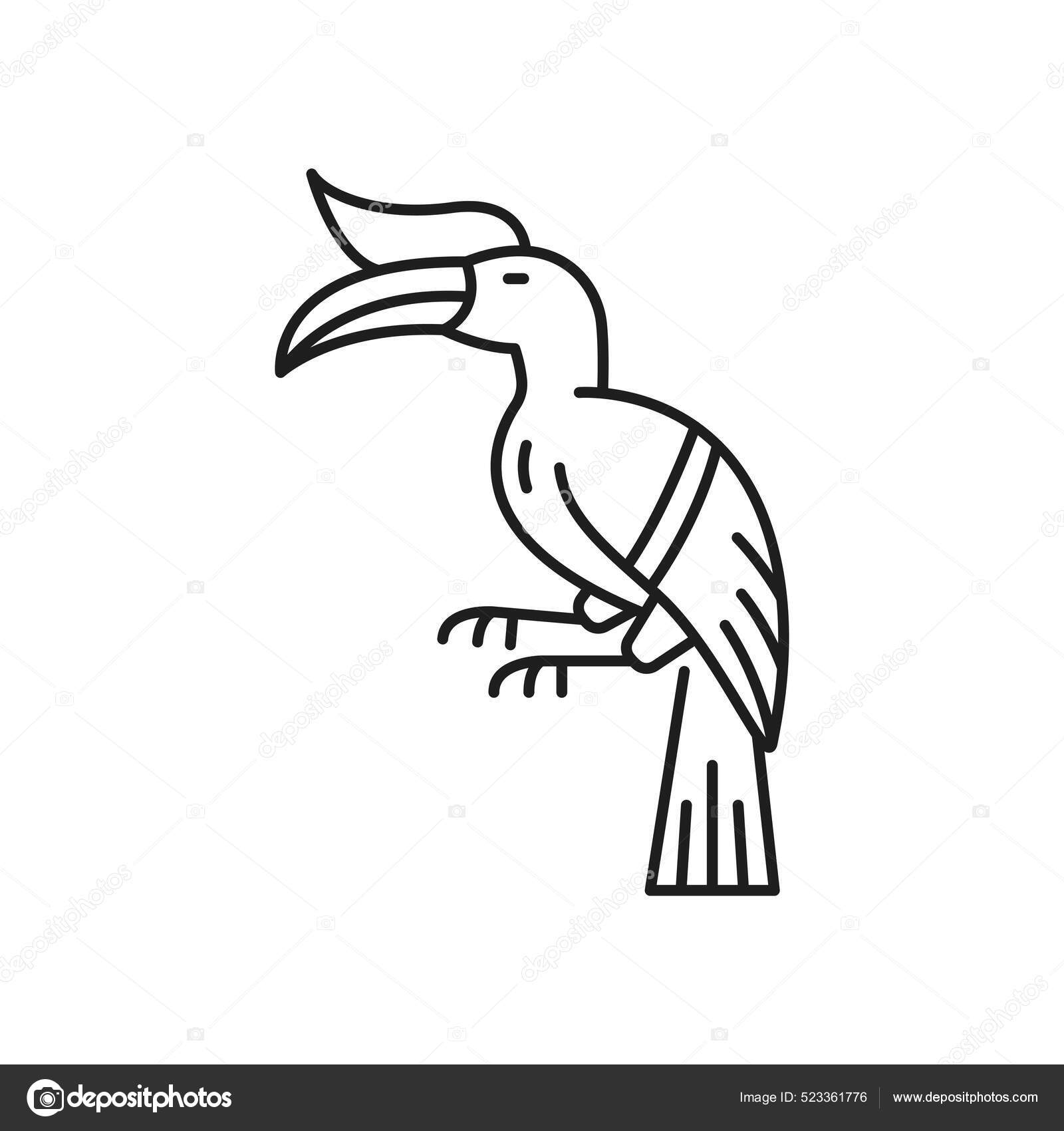 Toco Toucan Line Drawing