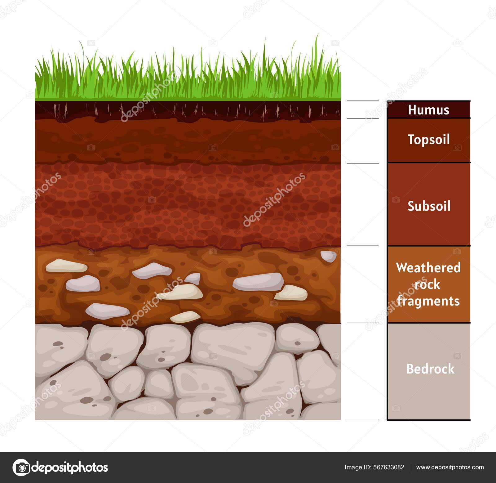 Soil Layer Infographic Earth Geology Formation Bedrock Weathered Rock ... Soil Layer Infographic Earth Geology Formation Bedrock Weathered Rock ...