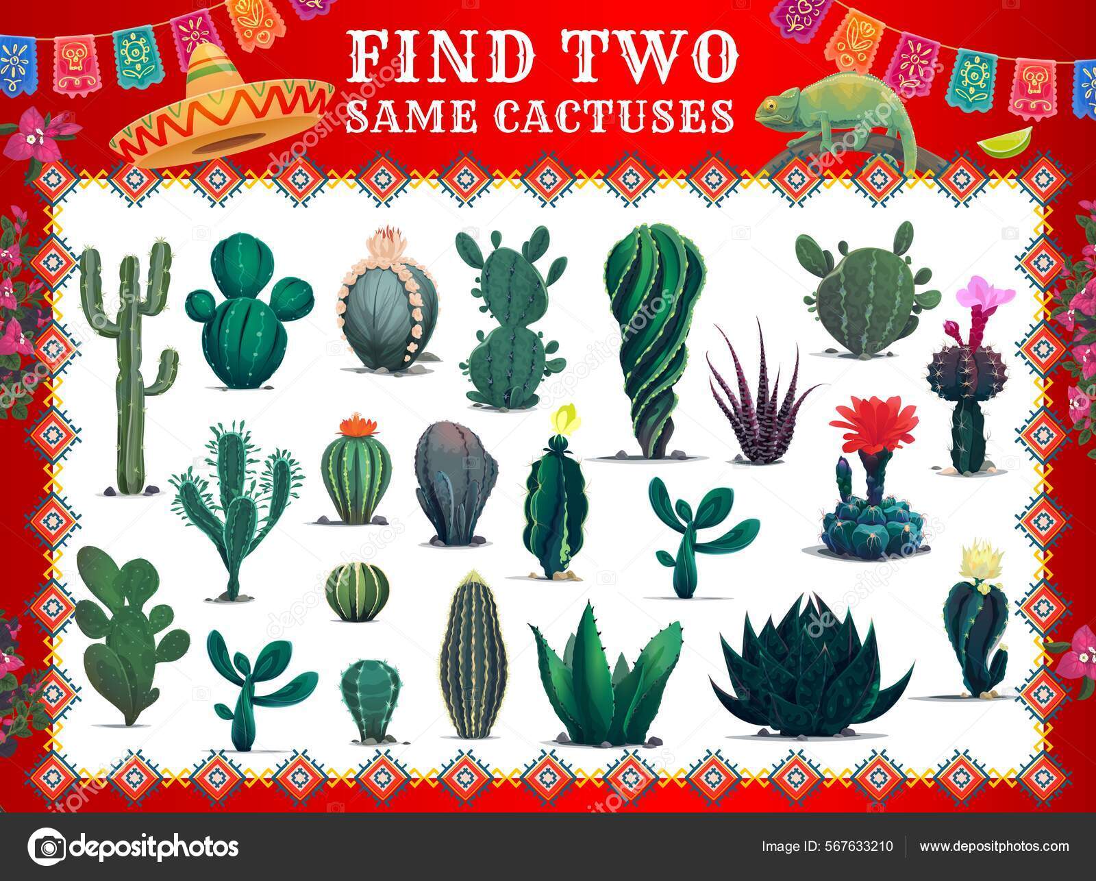 Mexican Cactuses Find Two Same Cartoon Prickly Succulent Plants Game ...