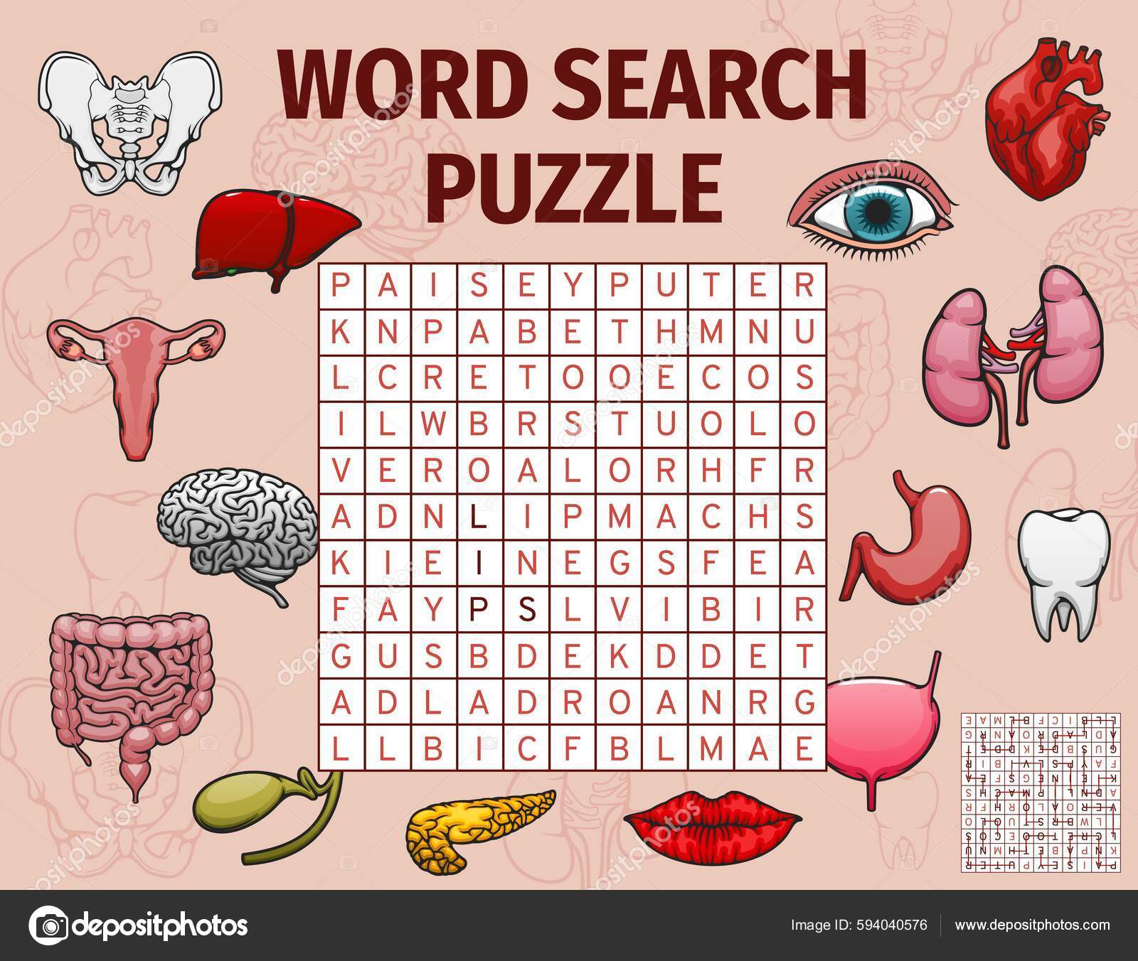 Human Organs Body Parts Word Search Puzzle Game Worksheet Vector Stock ...