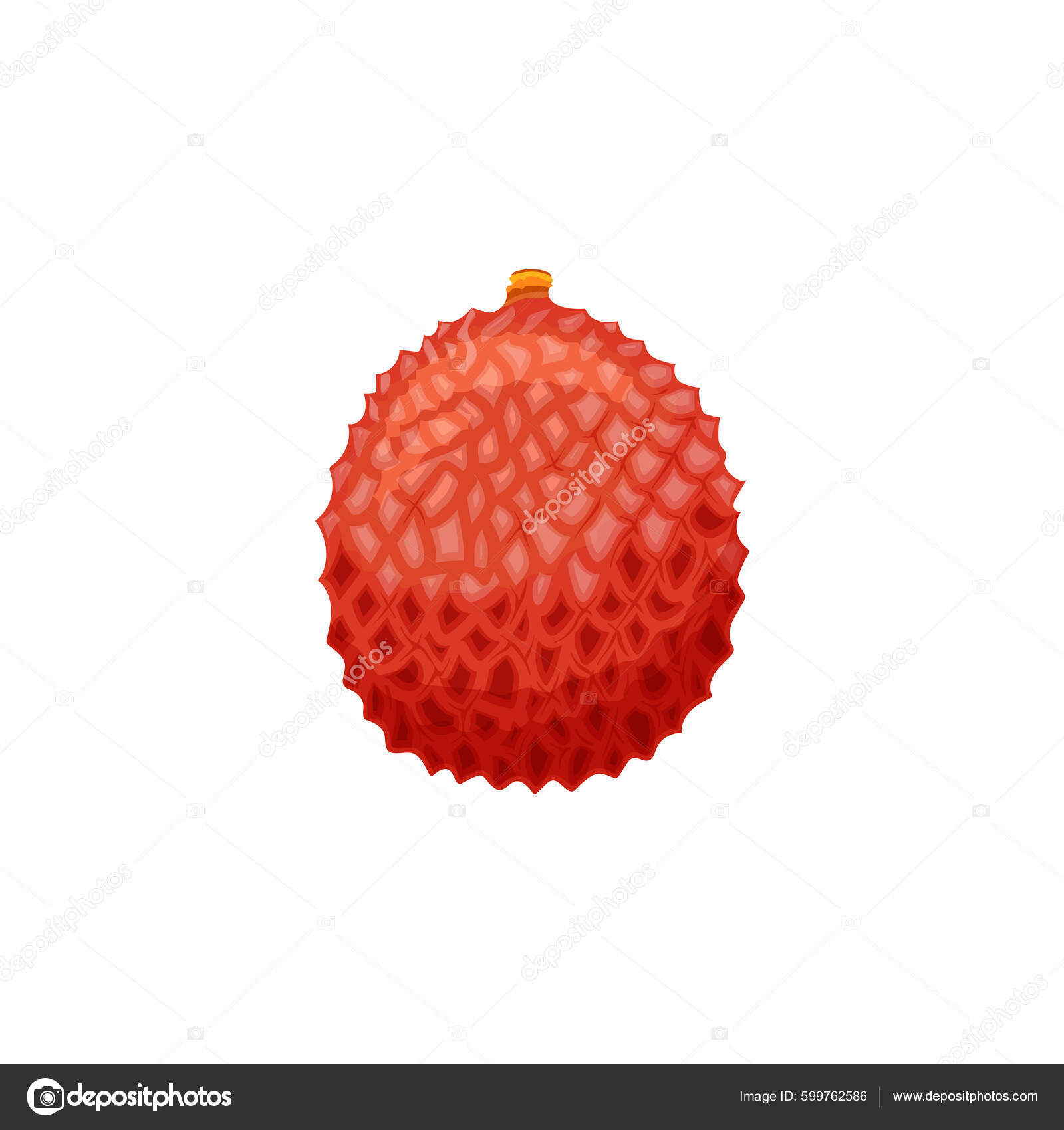Litchi Isolated Fruit Tropical Dessert Isolated Flat Cartoon Icon ...